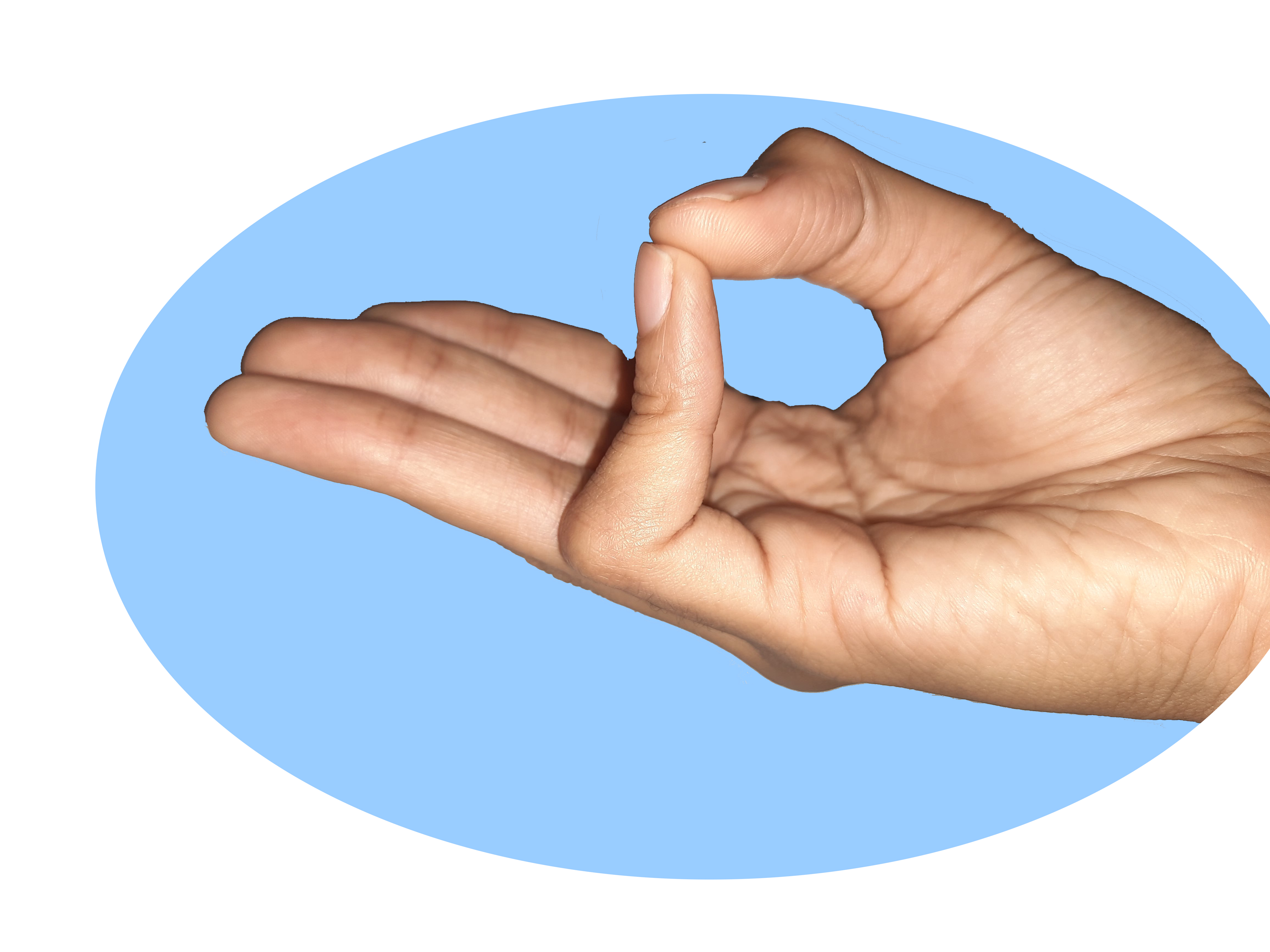 Shraddha Prana Kriya Mudra